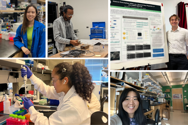 Undergraduate Research Center—Sciences | URC-Sciences Summer Program